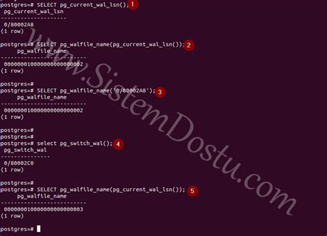 Postgresql Wal Write Ahead Logging Sistem Ve Network Dünyasına Hoşgeldiniz