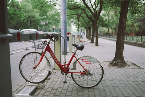 무료 이미지 보도 공원 레인 스포츠 장비 산악 자전거 나무 사이클링 자전거 랙 육상 차량 도로 자전거 경주