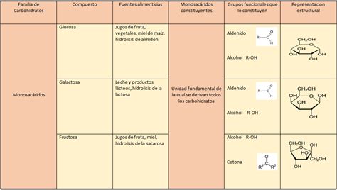 C Elabora Un Cuadro Comparativo Entre Los Carbohidrat