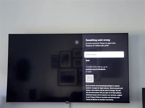 Youtube App Error Rbravia