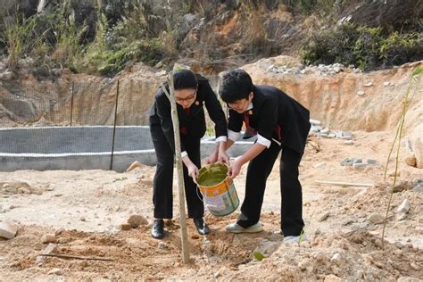城厢法院：春光无限好 植树正当时澎湃号·政务澎湃新闻 The Paper