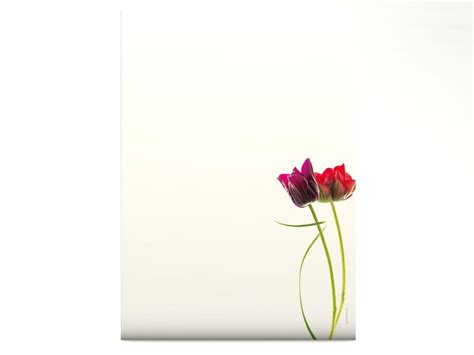 Briefpapier Motivpapier Briefumschläge Von Paperandpicturede
