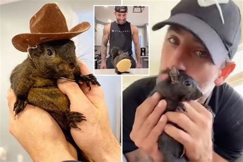Rip Peanut The Squirrel Euthanized After It Was Taken From Owners New