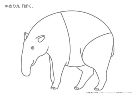 ぬりえ 動物生き物のぬりえ 3幼児教材知育プリントちびむすドリル幼児の学習素材館