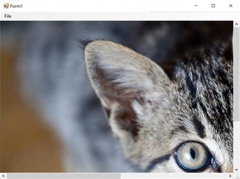 How To Create Scrollable Picturebox Control In C Devindeep