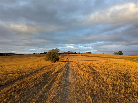 The Camino De Santiago In A Million Easy Steps Art Chaidarun