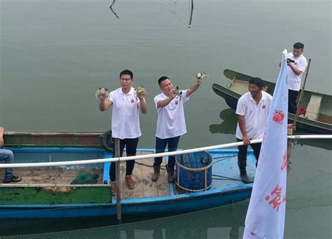 秋風起蟹腳癢陽澄湖大閘蟹開捕啦防偽查驗方法在此 每日頭條