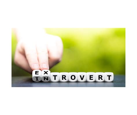 networking for introverts advise your career
