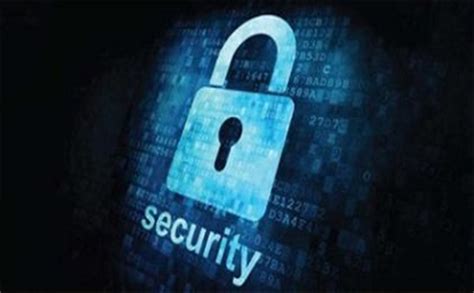 Web漏洞扫描器下载 Web漏洞扫描器免费下载 软件合集 下载之家