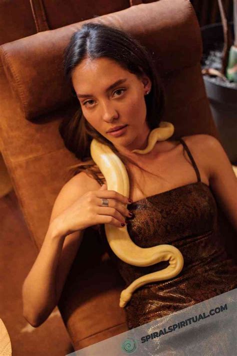 Boa Constrictor Spiritual Meaning And Symbolism Healing And Transformation