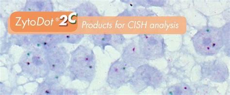 Cish And Fish Zytodot Cish Bio Sb Inc Online Store