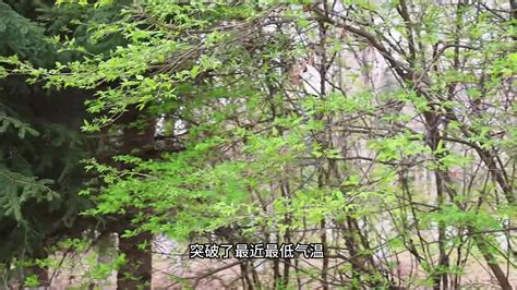 “参”边事丨雨水频现，降温明显，注意防护！郭宝文丁明