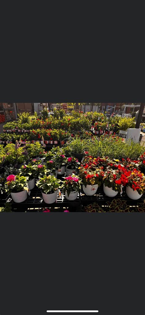 Daniel Paramo Saldana On Linkedin Progress Has Been Made At Cary Walmart 2247 Garden Center