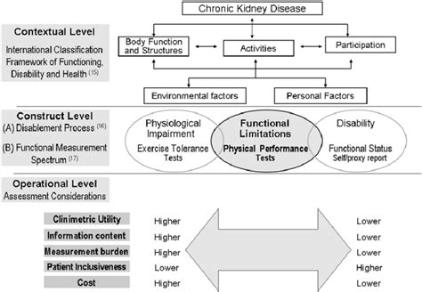 A Schematic Representation Of The Principal Operational Assessment