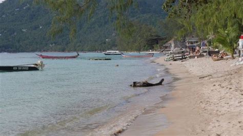 Thailand Murders Police Offer £13000 Reward Bbc News