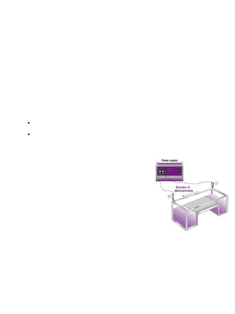 Applied Zoology Ii Practical Electrophoresis Pdf Agarose Gel