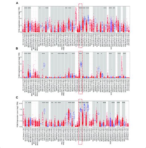 The Expression Levels Of Fcns In Different Tumor Timer A Fcn1