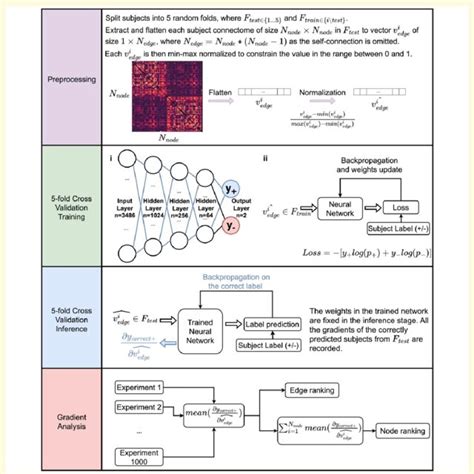 Deep Learning Model The Network Architecture Is Shown In I The