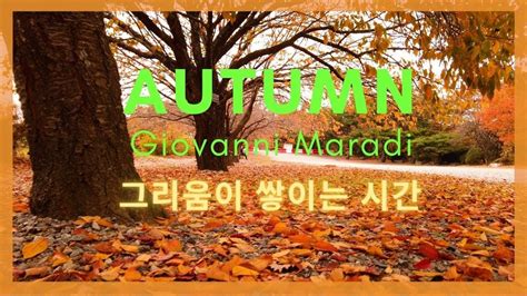 만추 그리움이 쌓이는 시간 YouTube