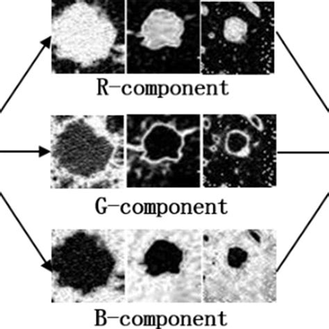 The Color Transforming Operations Of Three Examples Download Scientific Diagram