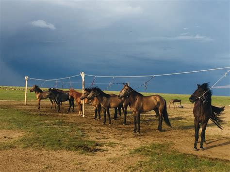 Унаган хүлэг Унаган хүлэг Added A New Photo