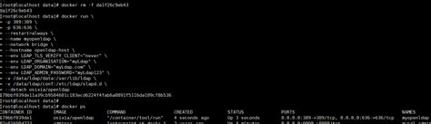 Springboot集成ldap，docker安装ldapldap 知乎 Docker Csdn博客