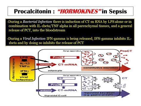 Sepsis Empiric Antibiotics