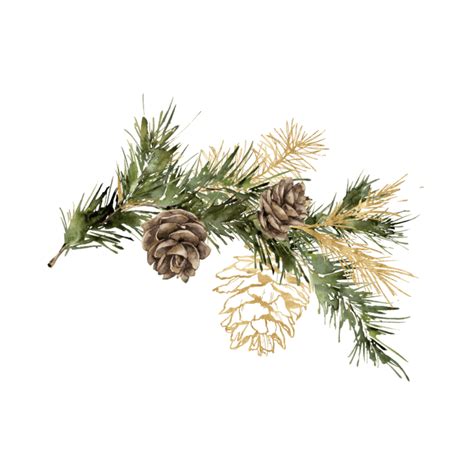 Yarrow Folklore Warrior Wisdom And Summer Magic The Outdoor Apothecary