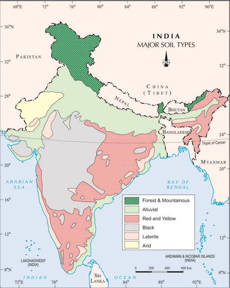 Major Soil Types In India Soil Profile Indian Geography Notes For