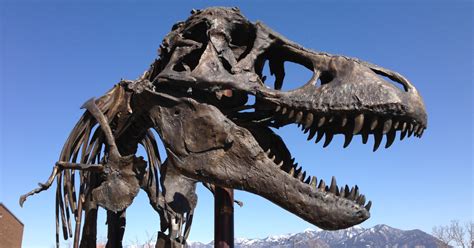 Smithsonian Welcomes “the Nations T Rex” To Washington Dc