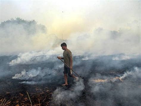 Jammu Kashmir Pollution Die In 10 Thousand 5 Reasons Jk Make Gas