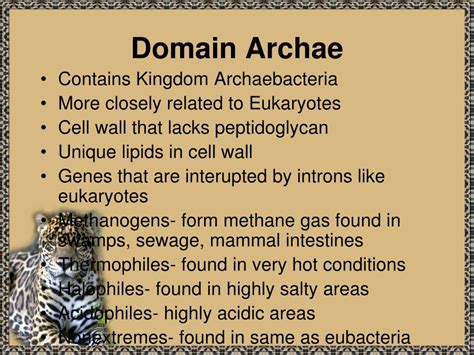 Ppt Classification Of Organisms And The Kingdoms Of Living Things