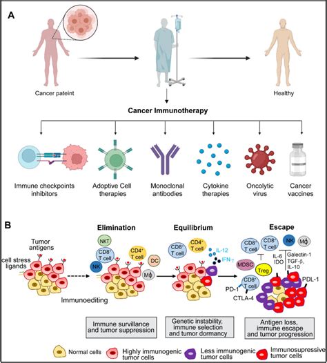 Table 1 From Emerging Trends In Immunotherapy For Cancer Semantic Scholar