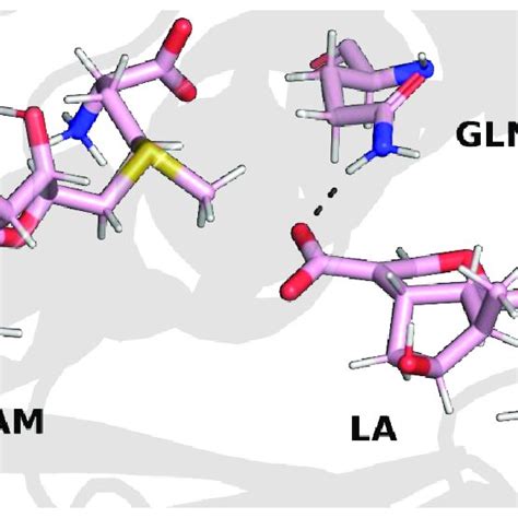 Final Structure From Trajectory 3 Glutamine 38 Forms A Hydrogen Bond