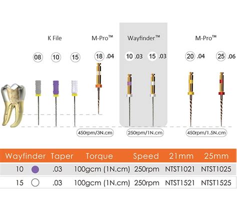 IMD Wayfinder Path File NiTi Rotary File Dandal File Length H