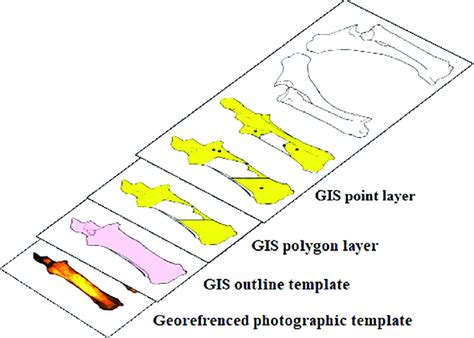Superposition Of Gis Layers Drawn Over The Photographic Template