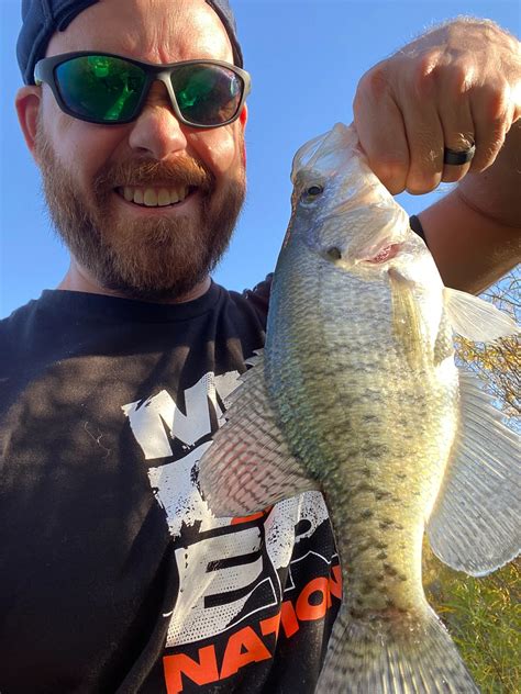When Do Crappie Spawn Timing The Best Bite Of The Year Boundary Voyage