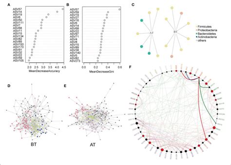 Identification Of Core Asvs And Microbial Network Analysis A B Download Scientific Diagram