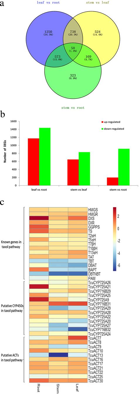 The Expression Patterns Of Unigenes A Venn Diagram Of Differentially