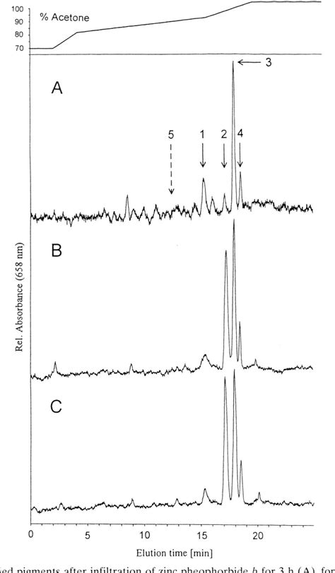 Figure 4 From Reduction Of The Formyl Group Of Zinc Pheophorbide B In Vitro And In Vivo A Model
