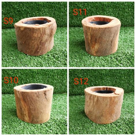 กระถางสำหรับปลูกต้นไม้ขนาดเล็ก กระถางโพรงไม้ ตอไม้จริง Shopee Thailand