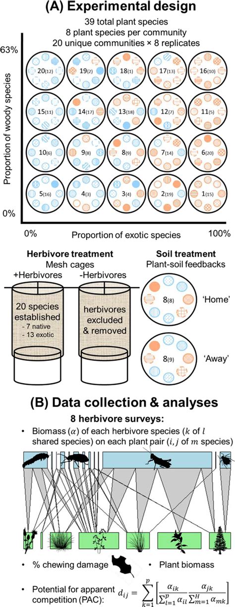 Conceptual Figure Detailing The Experimental Design Data Collection Download Scientific
