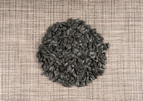 Graines De Tournesol Pile Huile Noire Groupe De Grains De Tournesol