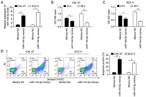 Overexpression Of MiR 144 3p Suppresses Cell Proliferation And Promotes