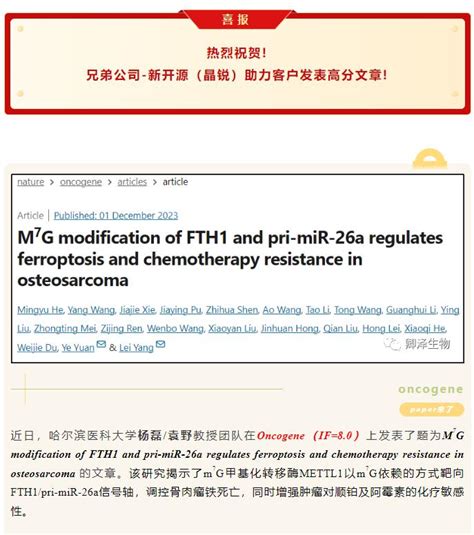 Polysome Profiling技术再次助力客户发表高分佳作 企业动态 丁香通