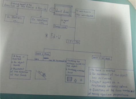Specialised Cell Model