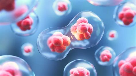 World Sickle Cell Day Role Of Early Diagnosis In Treating Sickle Cell Disease Onlymyhealth