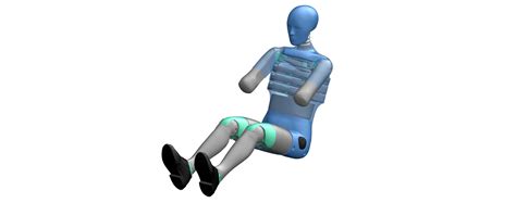 Fat Dummy Models Oasys Ls Dyna Environment