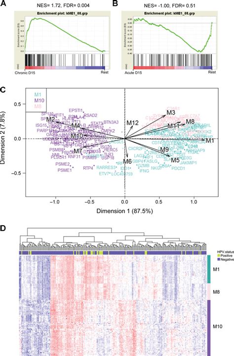 The Ifn Signaling Pathway Is Associated With Chronically Activated Cd8 Download Scientific