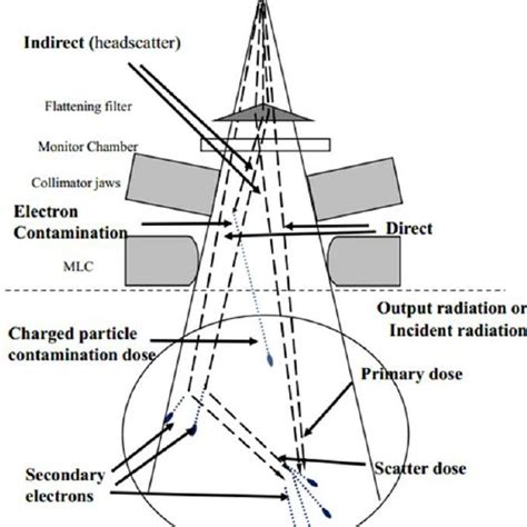 Electron Contamination Generated In LINAC Head Zhu Et Al 2009